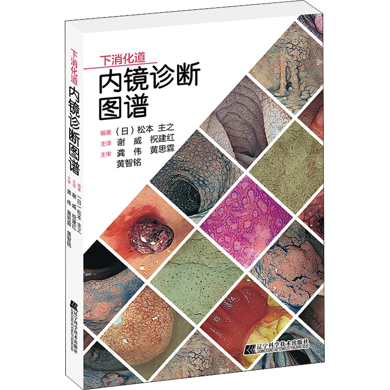 下消化道内镜诊断图谱 图书