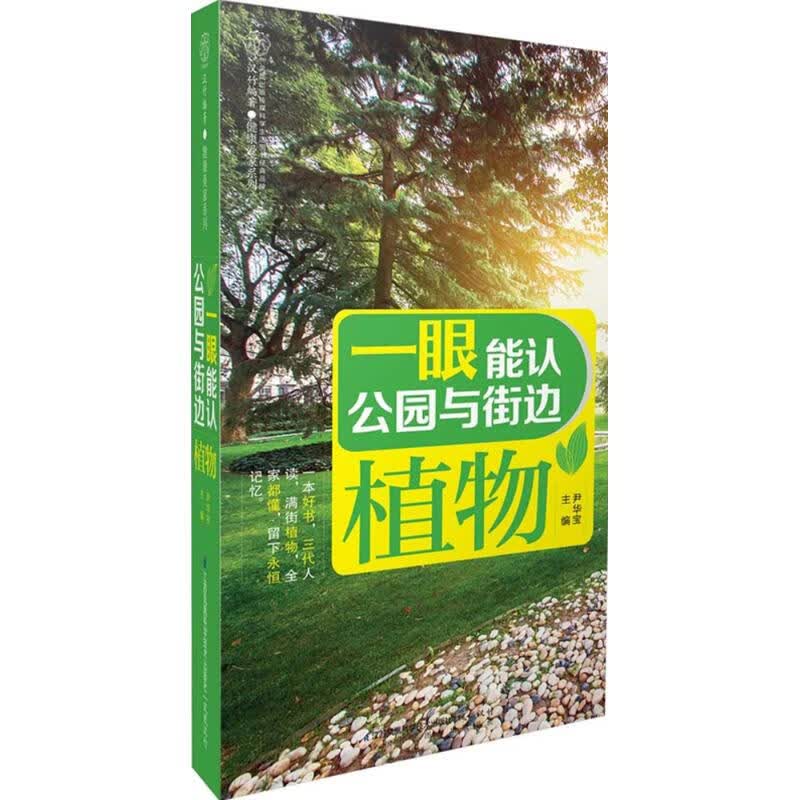 一眼能认公园与街边植物