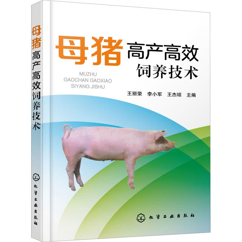 母猪高产高效饲养技术