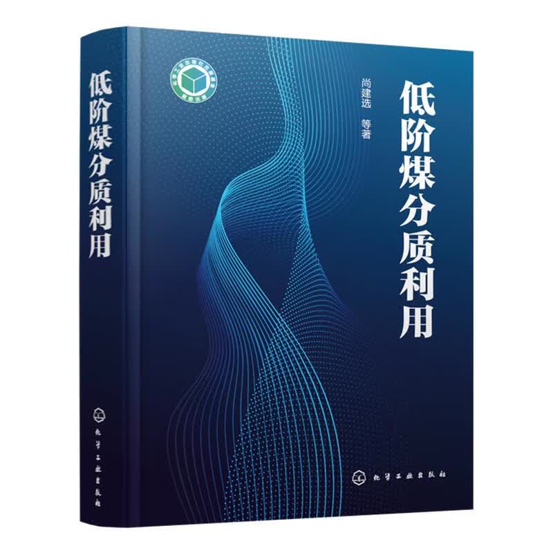 低阶煤分质利用 尚建选 等 书籍