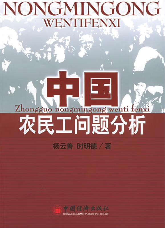中国农民工问题分析 杨云善 等著