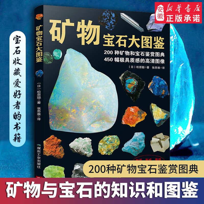 矿物宝石大图鉴 200种矿物宝石鉴赏图典 百科全书中国少年儿童百科全书大百科少儿3-6-10岁图书漫画书科学课外书籍幼儿科普绘本