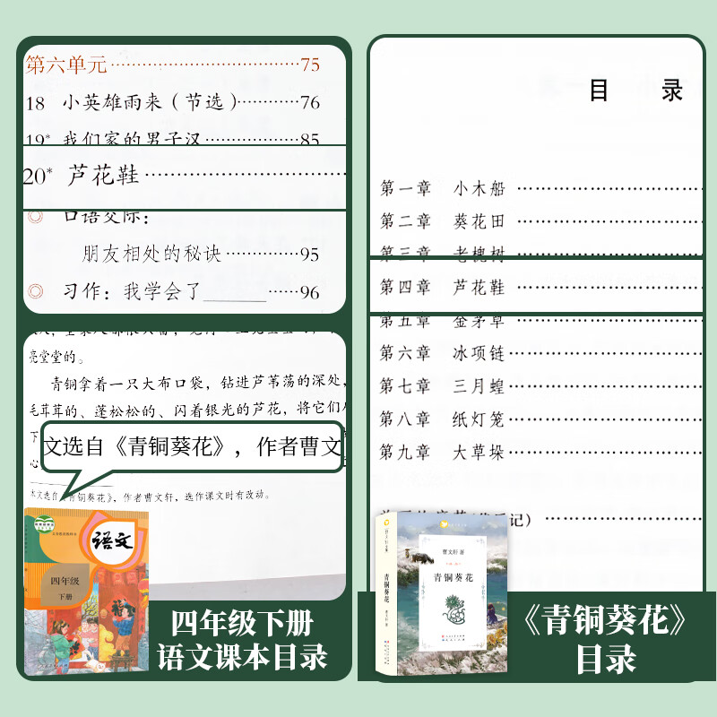 青铜葵花完整版曹文轩四年级下册 青铜和葵花原著 人民文学 五年级 书籍 曹文轩的书 青铜与葵