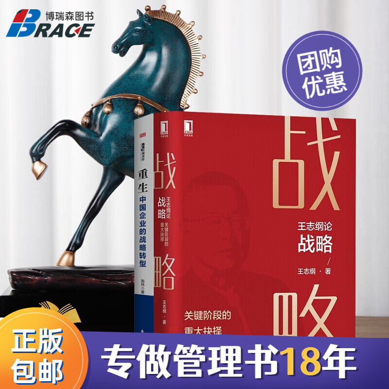 高处看战略2本套：王志纲论战略，关键阶段的重大抉择+重生，中国企业的战略转型 博瑞森企业管理C/企业战略财务报表书籍团购管理学/企业管理商业书籍团购送朋友