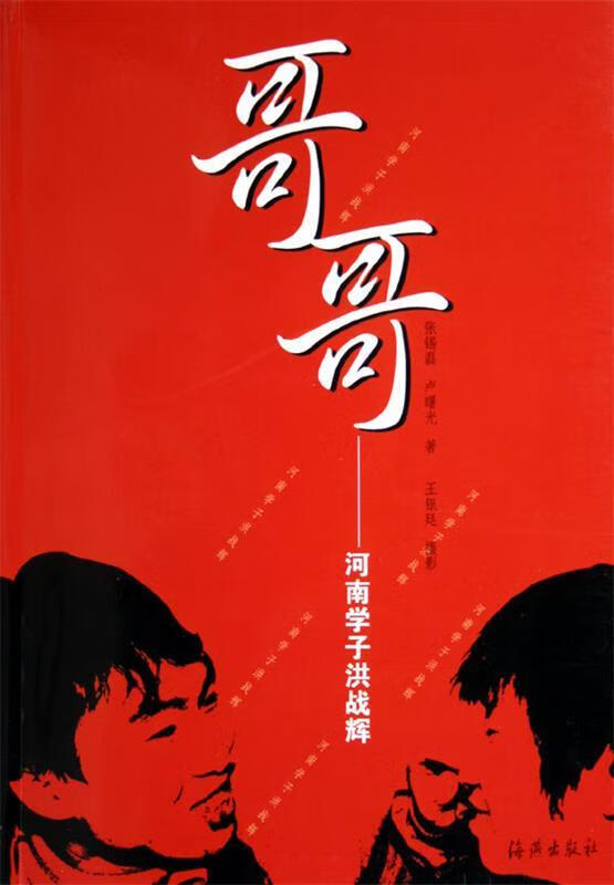 ！哥哥 - - 河南学子洪战辉 ，张锡磊 著,卢曙光 著 9787535030047 海燕出版社