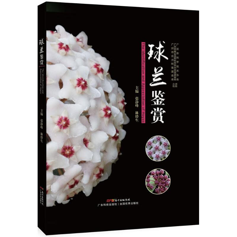 球兰鉴赏
