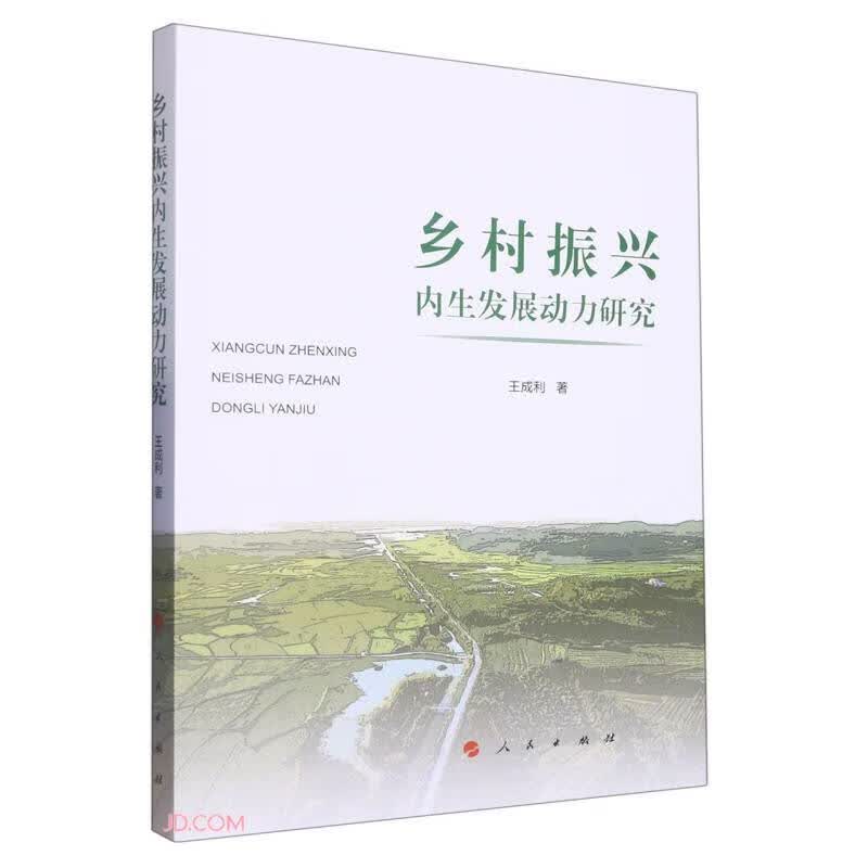 乡村振兴内生发展动力研究
