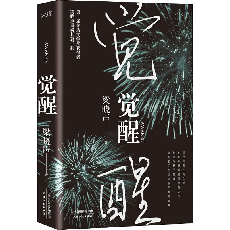 觉醒 梁晓声  书籍