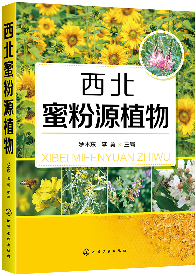 西北蜜粉源植物【特惠】