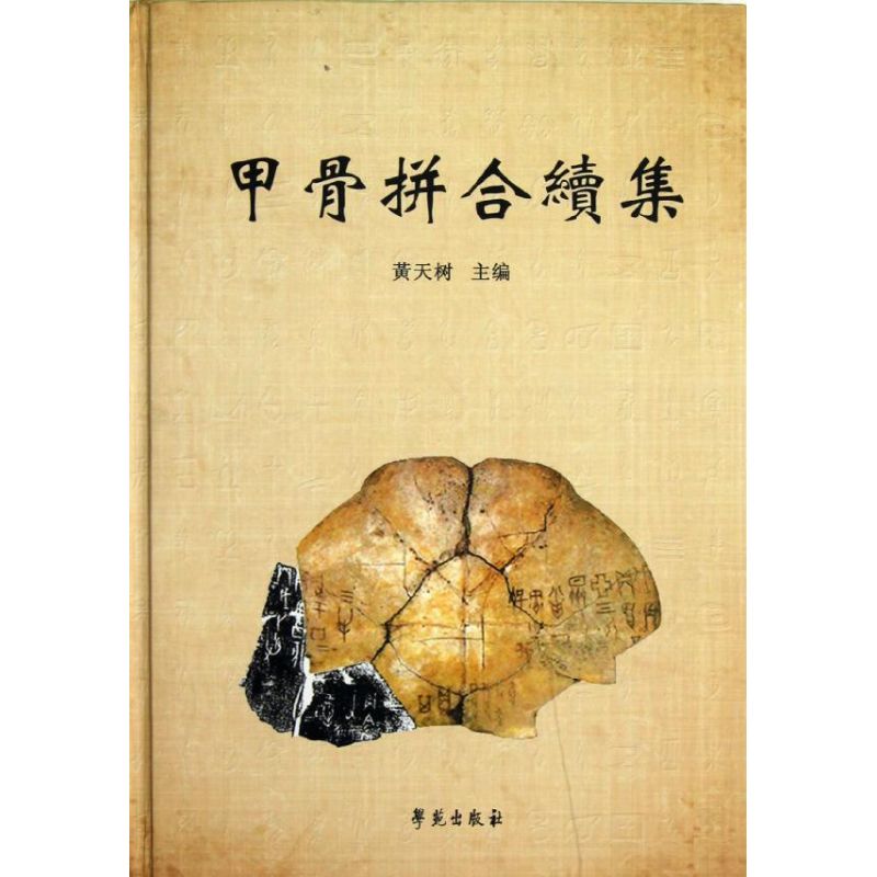 甲骨拼合续集