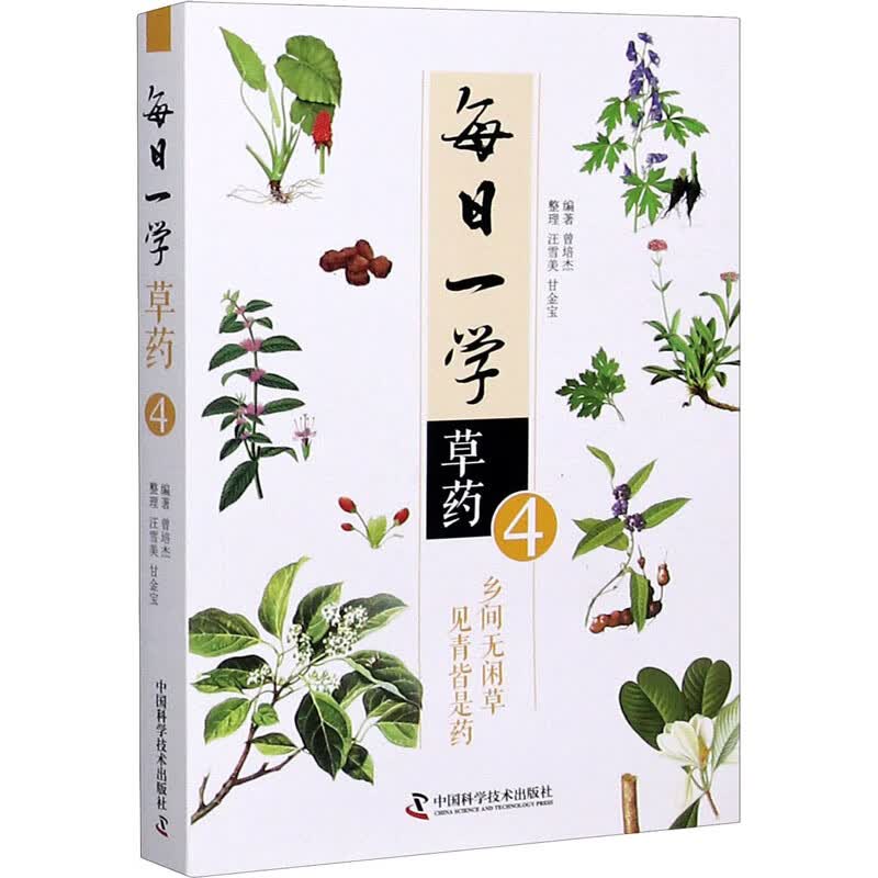 每日一学草药 4