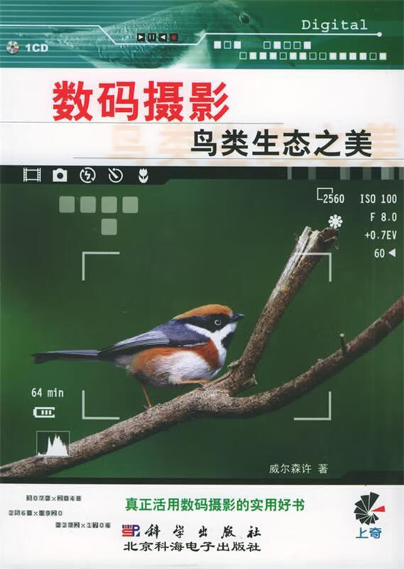 数码摄影：鸟类生态之美