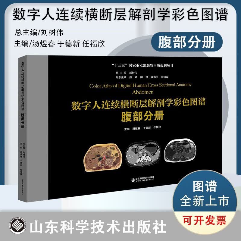 数字人连续横断层解剖学彩色图谱全套6本腹部+盆部与会阴+上肢+下肢+头颈部+胸部分册 人体局部系统彩色CT与MR解剖图谱临床格氏解剖学 腹部分册
