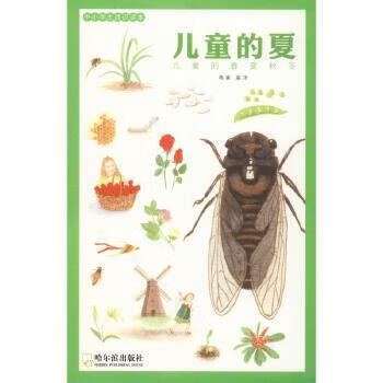 儿童的夏