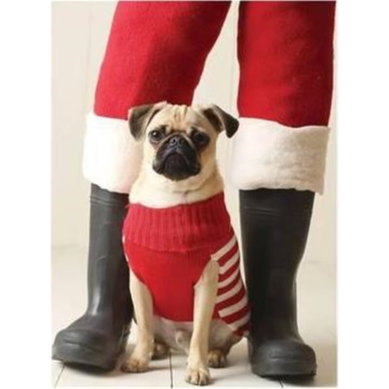 Pug Elf Notecards