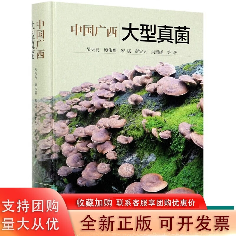 中国广西大型真菌(精) 0468 中国林业出版社