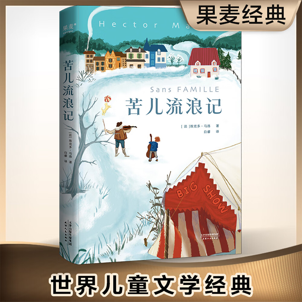 苦儿流浪记