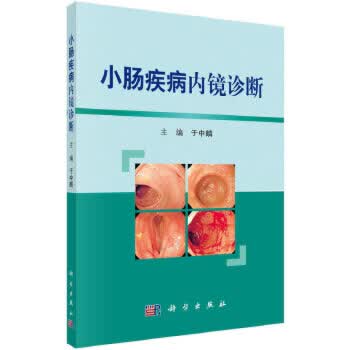 小肠疾病内镜诊断