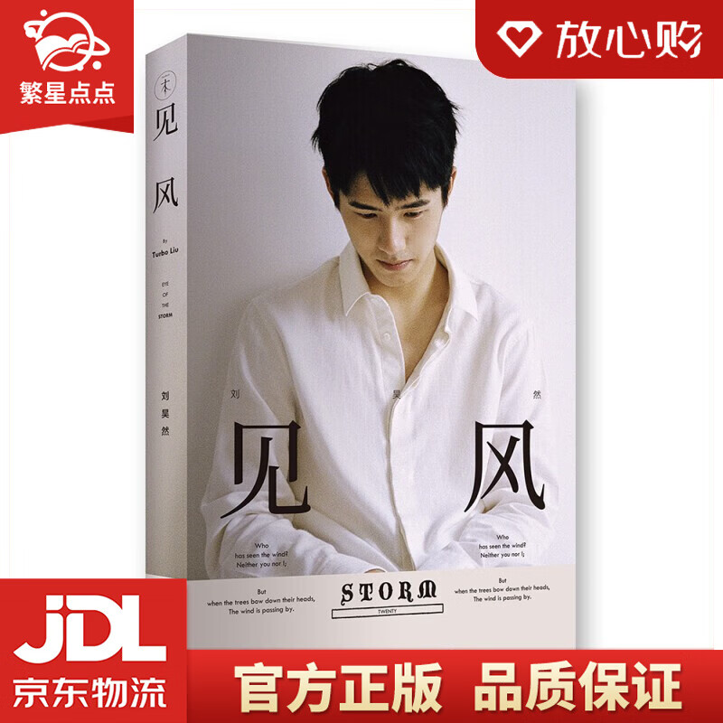 见风 刘昊然 著 中国友谊出版公司