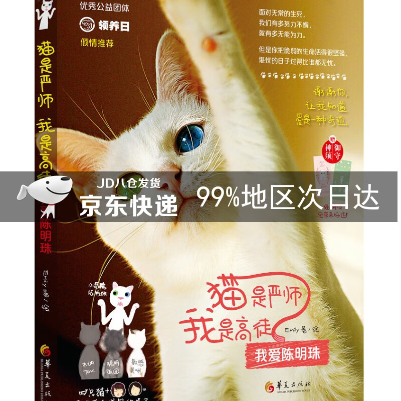 猫是严师，我是高徒