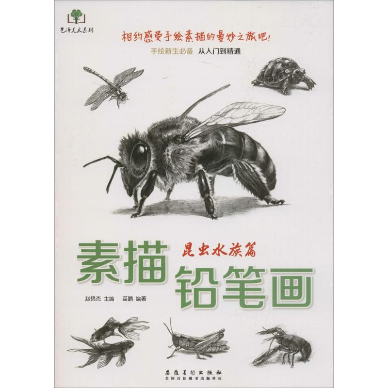素描铅笔画 族篇