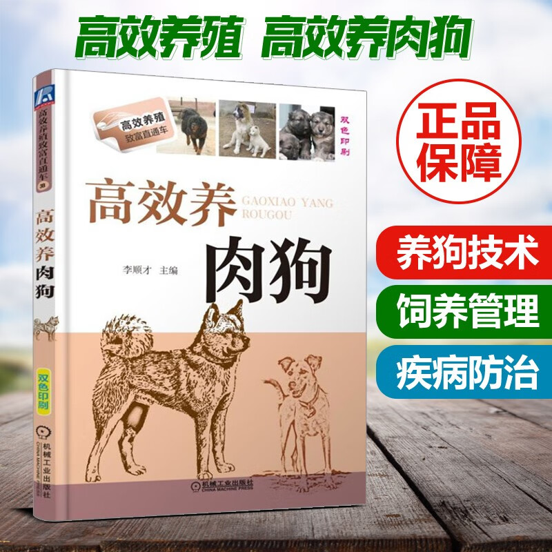 高效养肉狗 李顺才 肉狗养殖技术书籍 养狗技术大全 肉狗饲养管理 肉狗疾病防治 肉狗场经营书籍