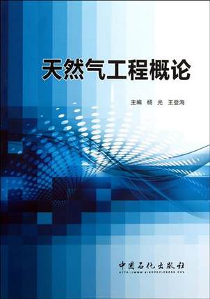 天然气工程概论 杨光 王登海 主编