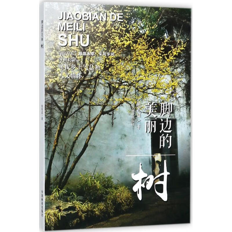 脚边的美丽树