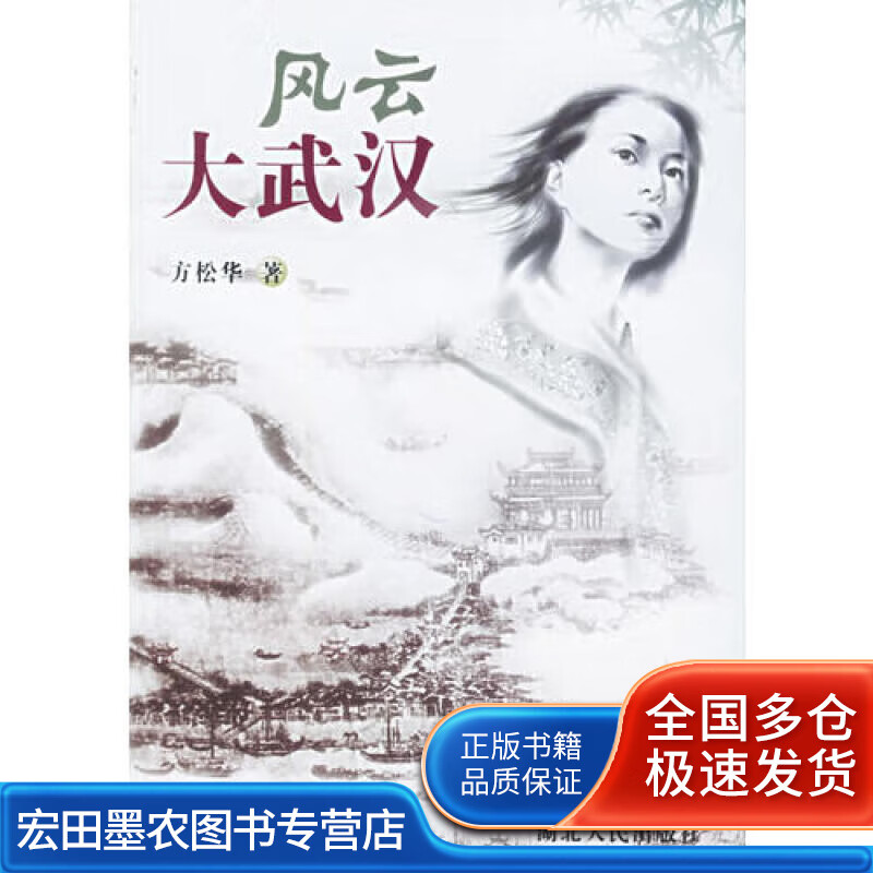 风云大武汉【好书】