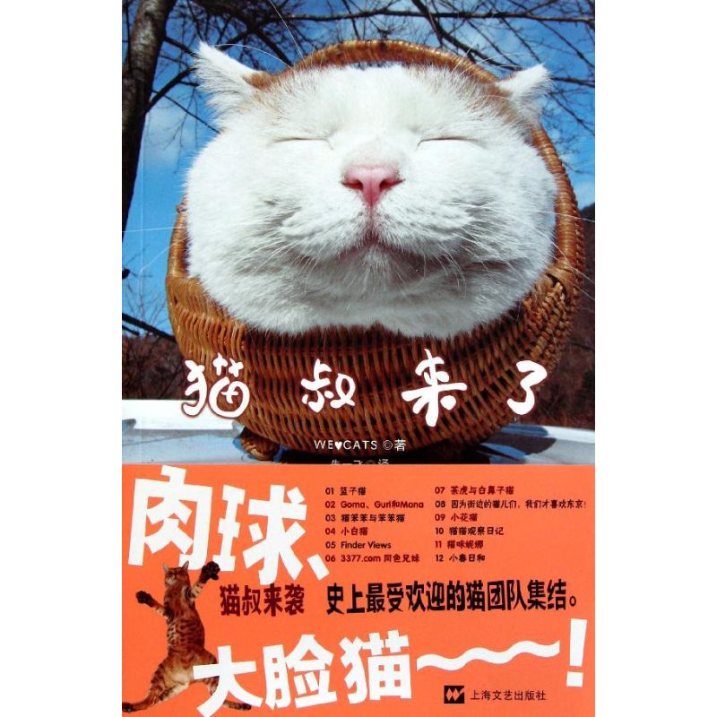 猫叔来了
