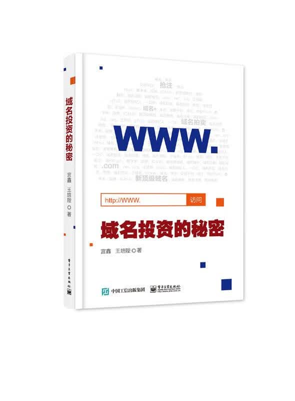 【现货】域名投资的秘密