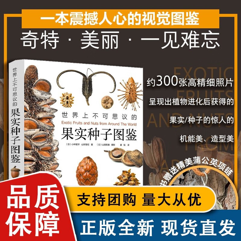 赠蒲公英项链 世界上不可思议的果实种子图鉴 小林智洋 展示了300多种果实种子惊人的功能美和造型美