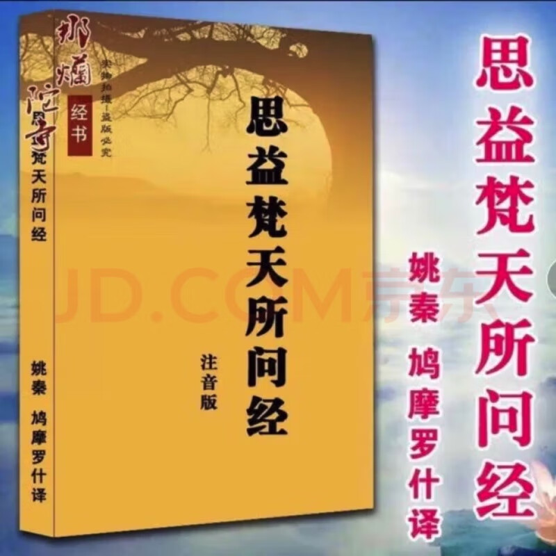 思益梵天所问经 4卷姚秦鸠摩罗什译 注音版彩色封面