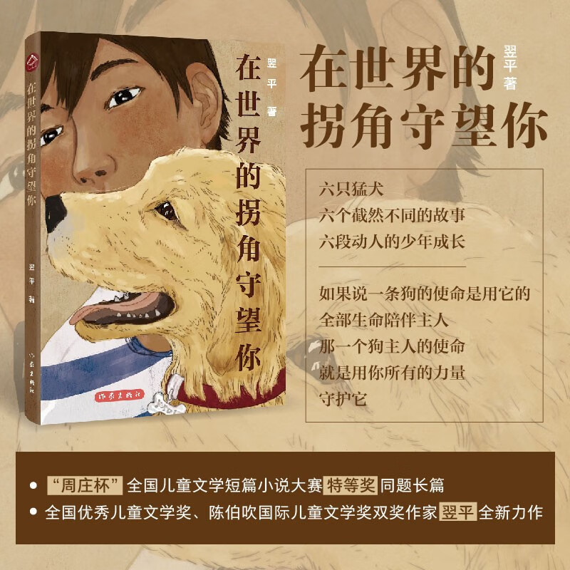 在世界的拐角守望你（优秀儿童文学奖、陈伯吹国际儿童文学奖双奖作家翌平全新力作）