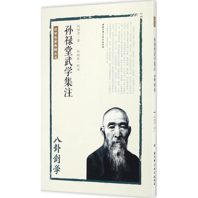 孙禄堂武学集注
