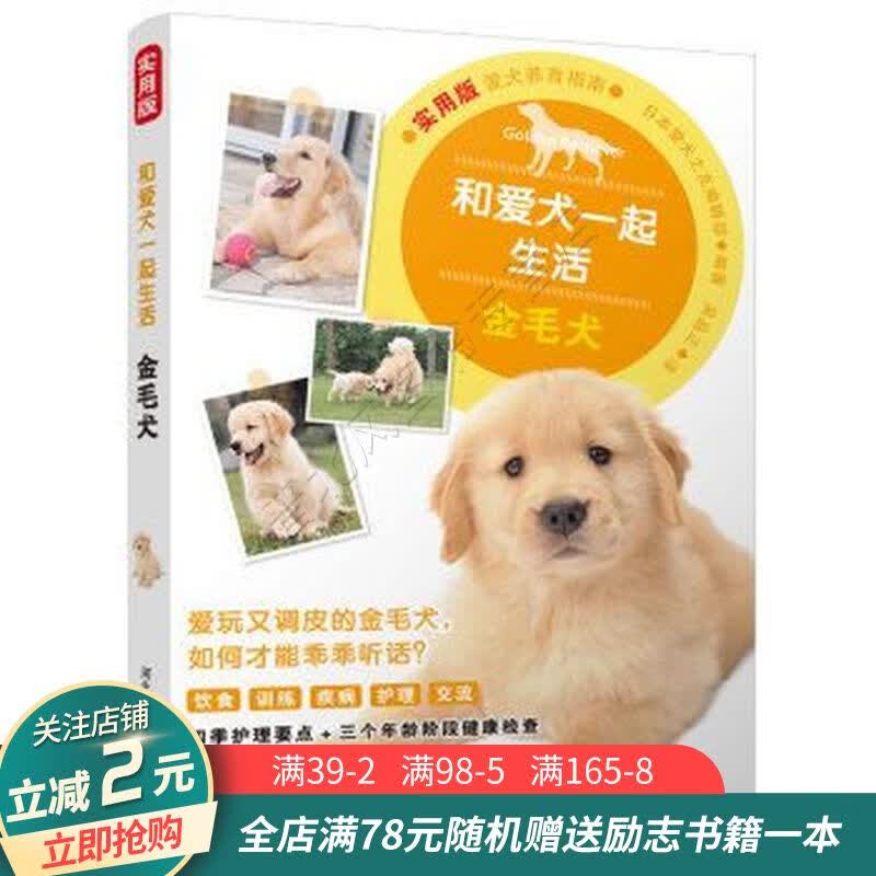 和爱犬一起生活金毛犬