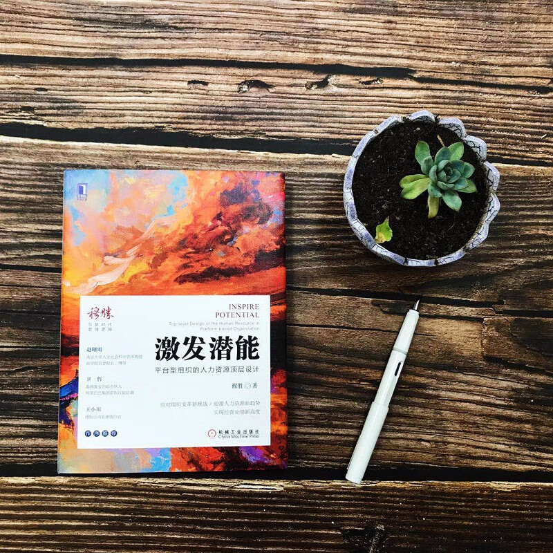 激发潜能-平台型组织的人力资源顶层设计 穆胜 应对组织变革新挑战 迎接人力资源新趋势 实现经营业绩新高度机械工业出版社