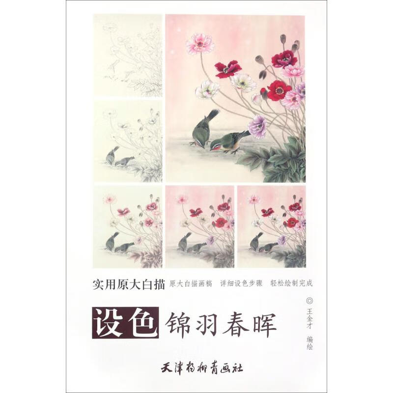 设色锦羽春晖
