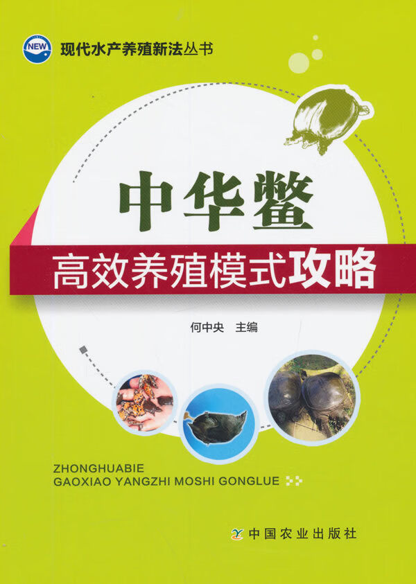 中华鳖高效养殖模式攻略