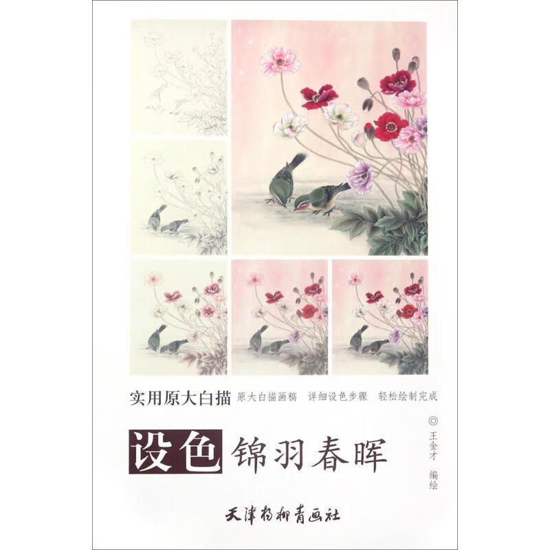 设色锦羽春晖 王金才 编绘