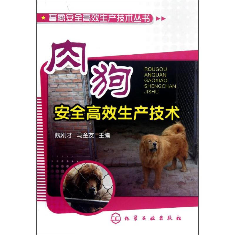 肉狗安全高效生产技术