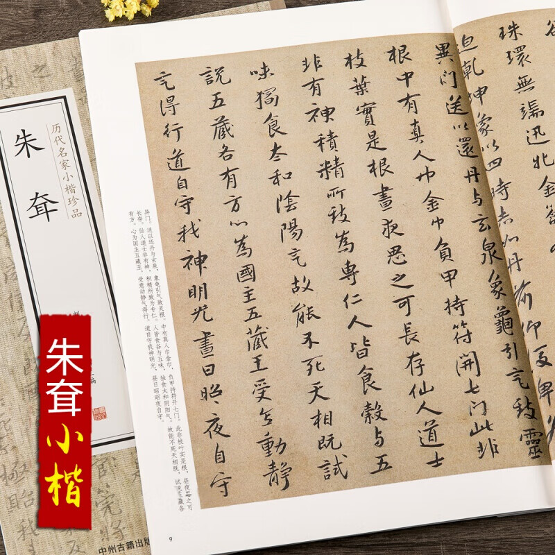 朱耷 历代名家小楷珍品 朱耷楷书教程 黄庭经 千字文 程子四箴 临蔡邕书卷 朱耷书法爱好者入门教程