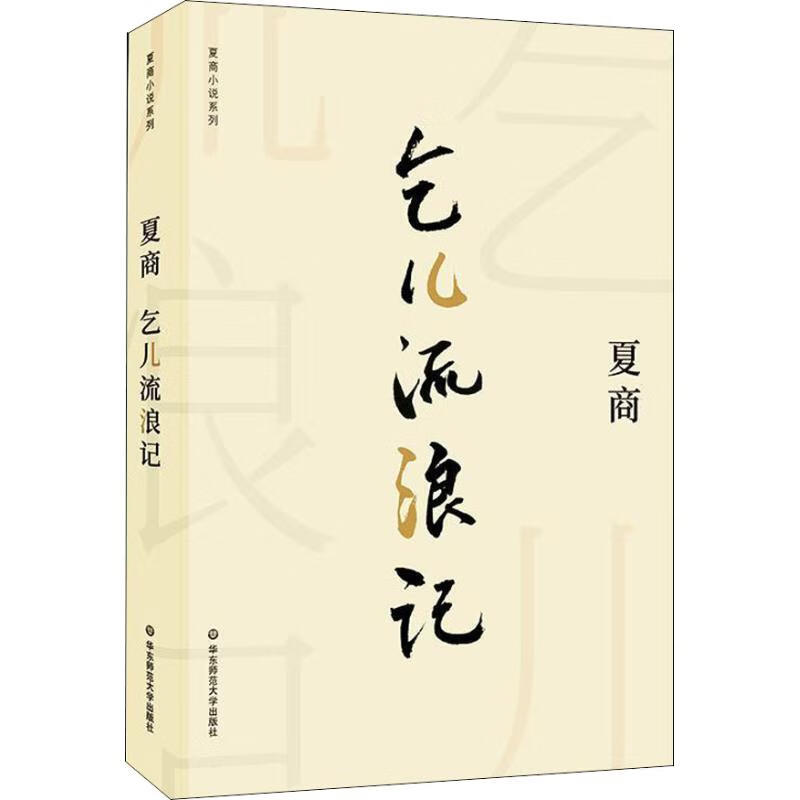 乞儿流浪记