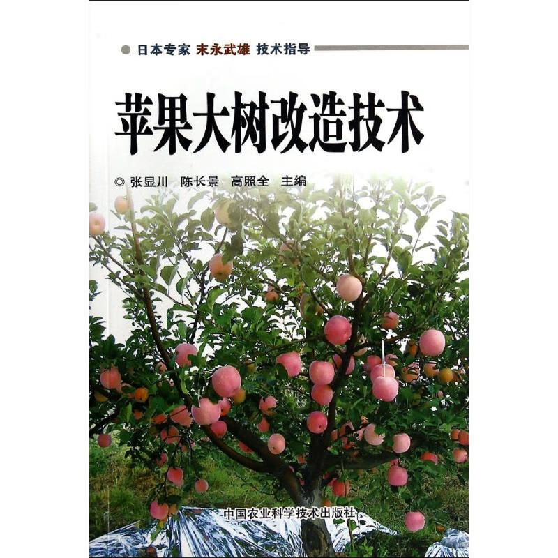 苹果大树改造技术