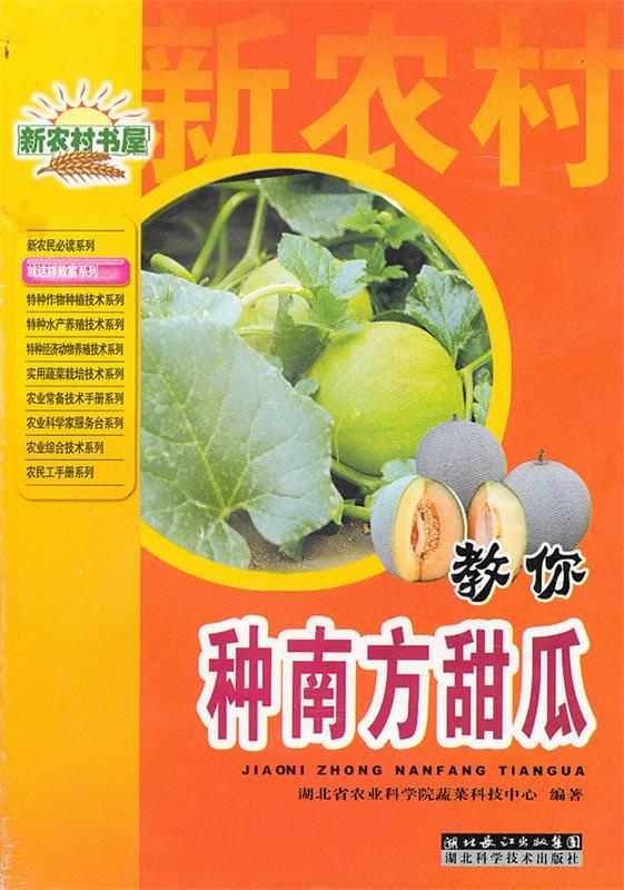 教你种南方甜瓜