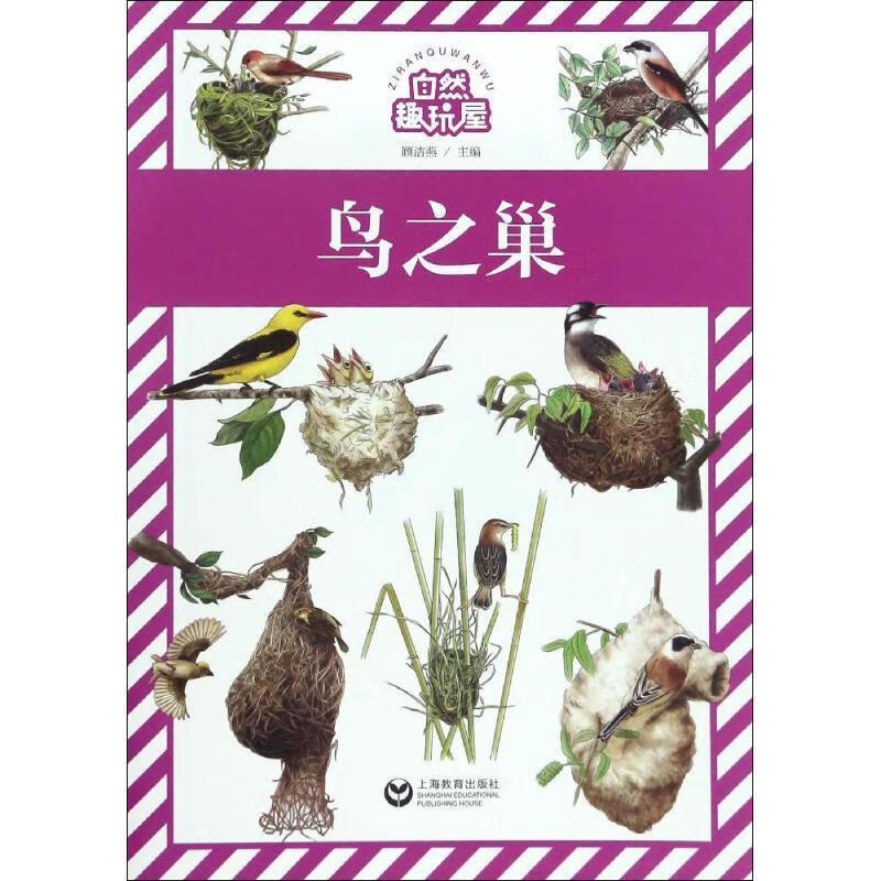 鸟之巢 顾洁燕