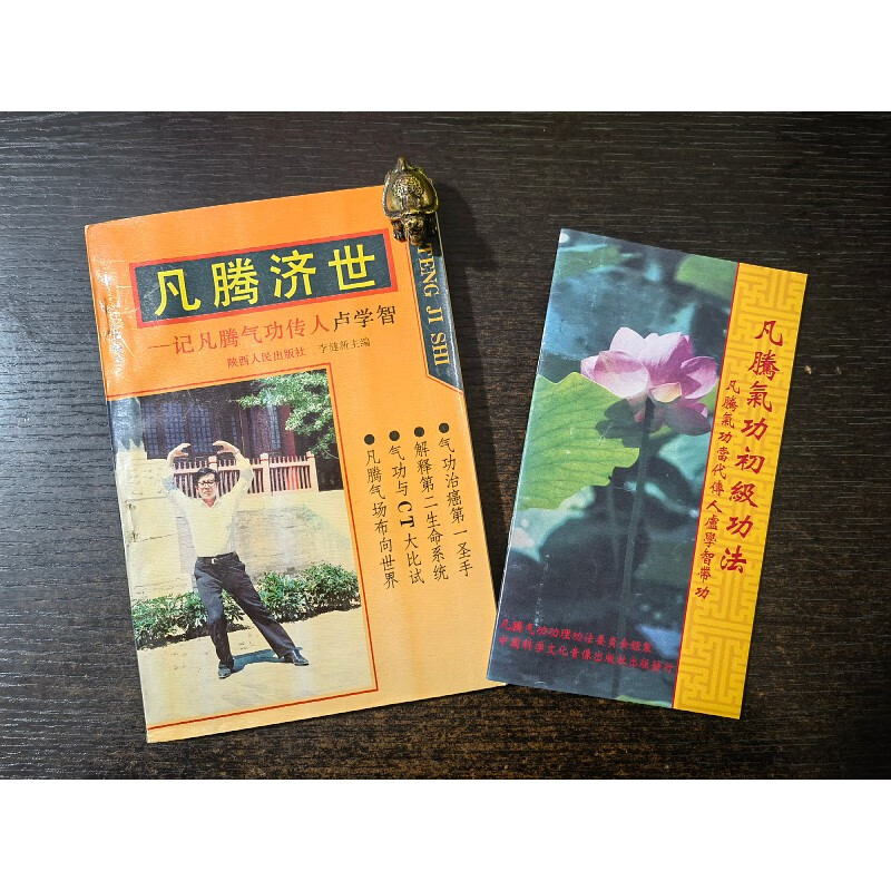 稀缺书籍 凡腾济世——记凡腾气功传人卢学智+凡腾气功的初级功法 两本合售  两本合售