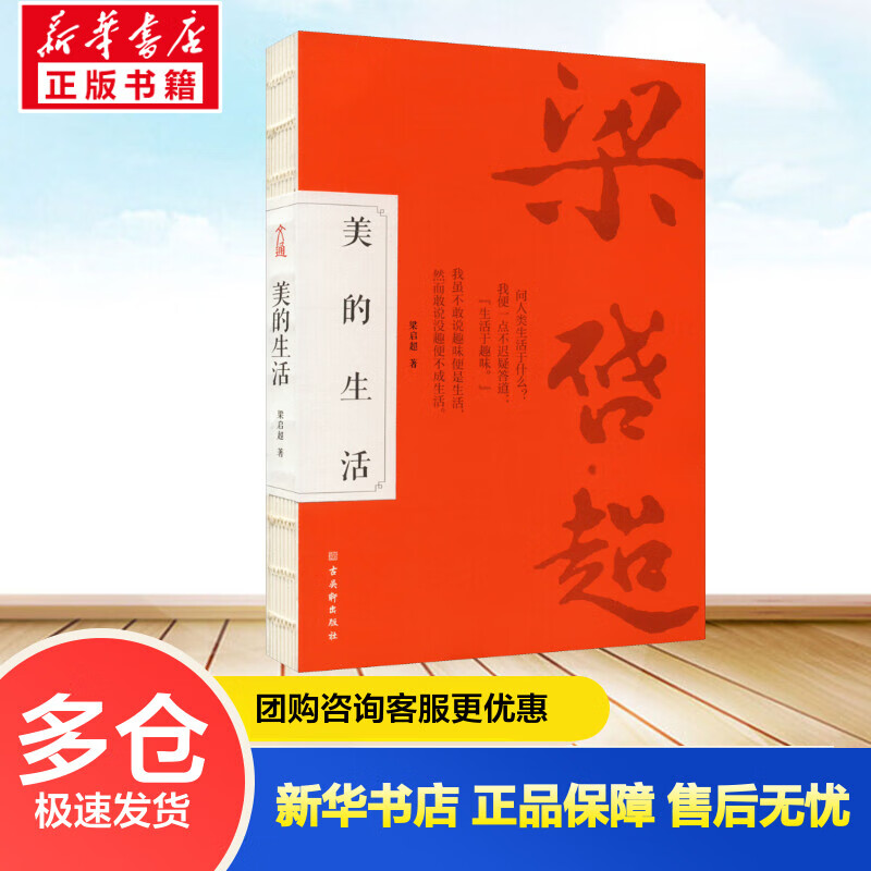 美的生活 梁启超 书籍 图书