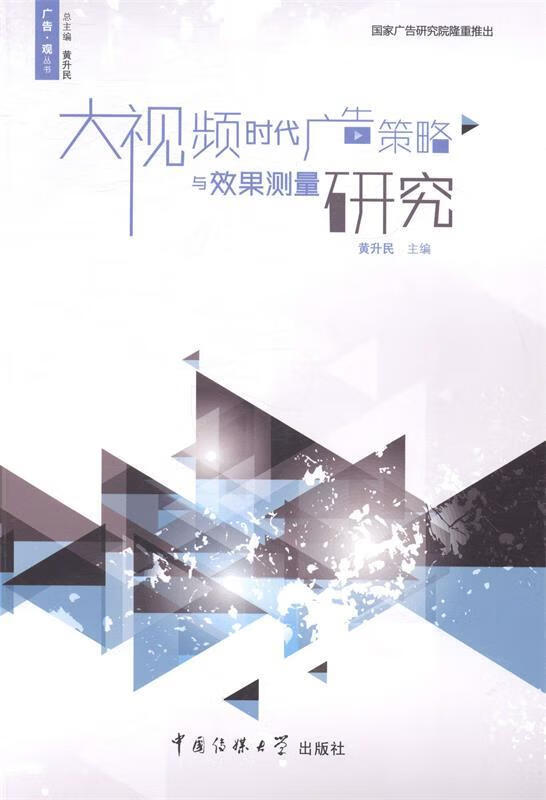 大视频时代广告策略与效果测量研究 黄升民主编 中国传媒大学出版社