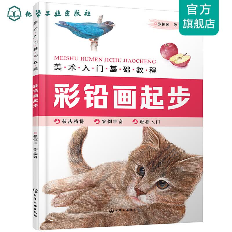 美术入门基础教程——彩铅画起步